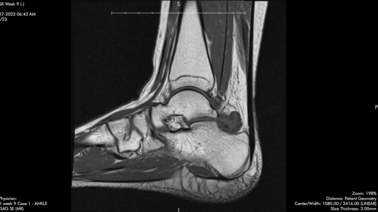 MSK MRI Fellowship Certificate - MRI Online is now Medality MSK MRI Fellowship Certificate - MRI Online is now Medality